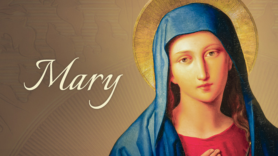 Mary | Salt + Light Media